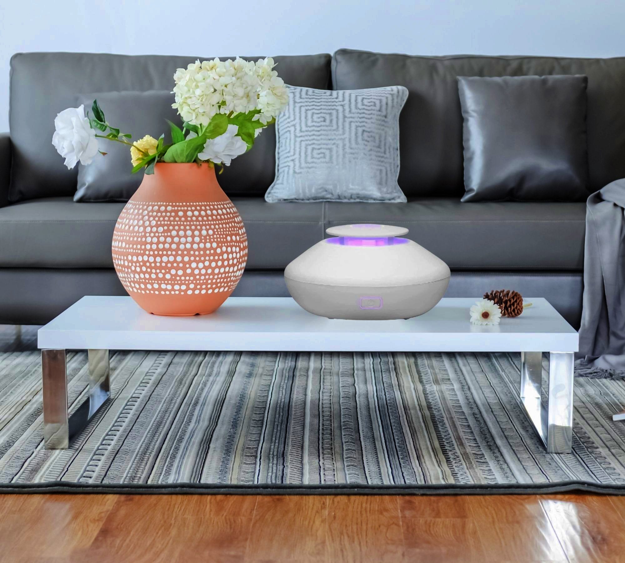 Decorating Ideas For Your Living Room – Lemondiffuser